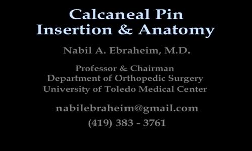 Calcaneal Pin Insertion Anatomy Everything You Need To Know Dr. Nabil ...