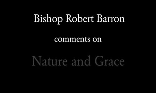 Bishop Barron On Nature And Grace Flv