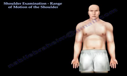 Shoulder Examination Range Of Motion Shoulder Everything You Need To ...