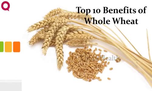 Top 10 Benefits of Whole Wheat Whole Wheat Benefits HEALTH TV