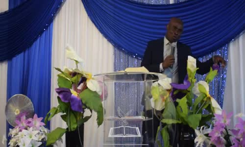 CHECK THE SEED BEFORE YOU SOW by Pastor David Adewumi.mp4
