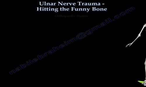 Ulnar Nerve Trauma, Tickling the Funny Bone Everything You Need To Know ...