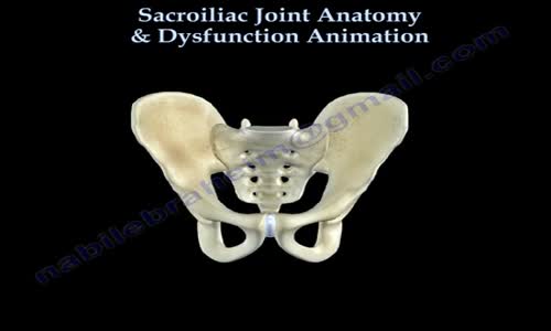 Sacroiliac Joint Dysfunction Anatomy, Animation Everything You Need To ...