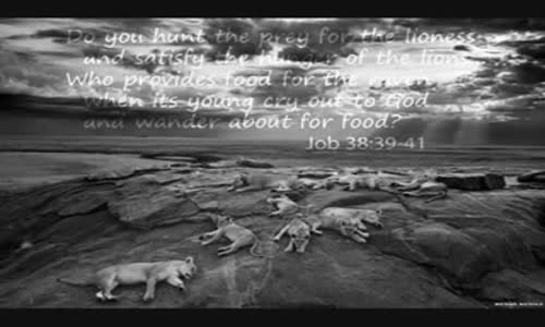 The Book of Job - Part 2_2 (Derek Prince) - GOD challenges Job.3gp